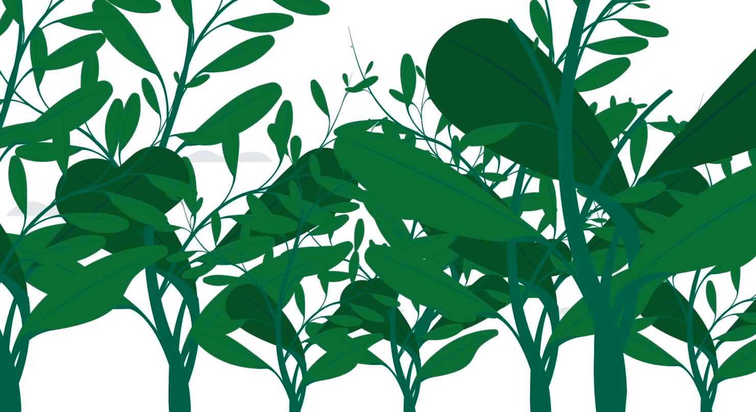 VIDEO: Seeds of PeaceThe approach to our work - Seeds of Peace